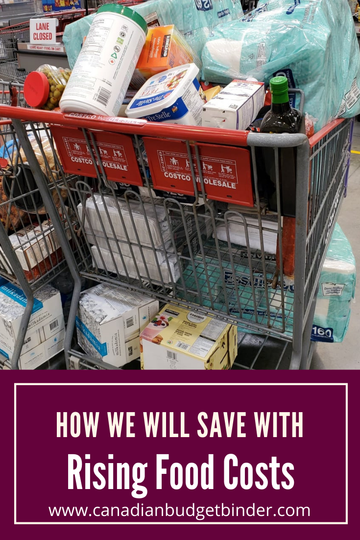 How We Will Save With Rising Food Prices – Shop Just Lovely Things