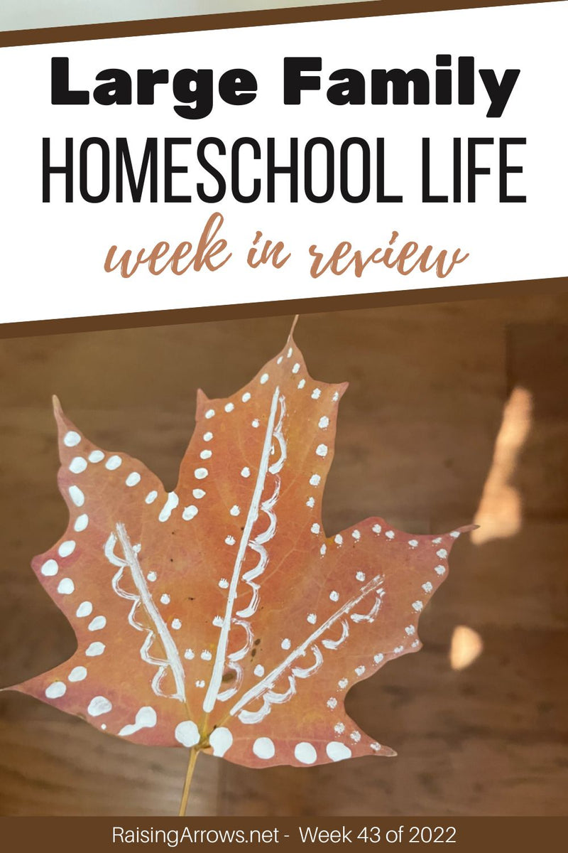 Large Family Homeschool Life – Week 43 of 2022 – Shop Just Lovely Things